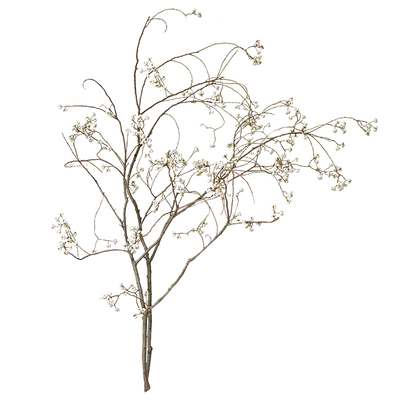 北欧插花白果天然树枝配果乌桕果