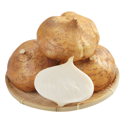 【脆甜凉薯热卖榜】官方推荐