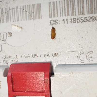 议价Rexroth  R911172194-AC1的，