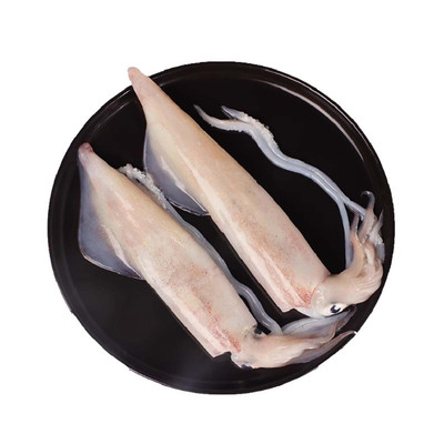 刺身海钓大管鱿鱼一条一斤