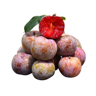 当季广西三华李酸甜多汁新鲜到货