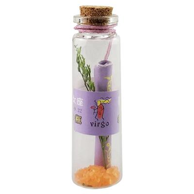 星座手工艺圣诞节小礼物许愿瓶