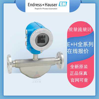 议价EH恩德斯豪斯科里奥利质量流量计Proline Promass E 300系列