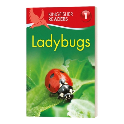 英文原版 Kingfisher Readers L1 Ladybugs翠鸟分级读物系列L1 英文版 进口英语原版书籍