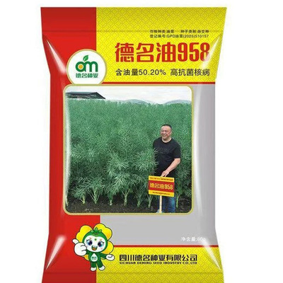 德名油958高抗菌核病病毒病高产杂交油菜种子油菜籽耐寒抗倒伏