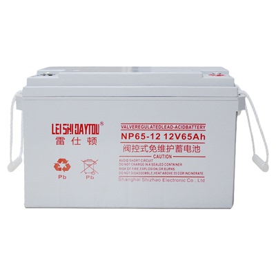 雷仕顿12V65AH铅酸蓄电池直流屏UPS蓄电池网络机房应急电源