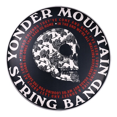 Discraft进口比赛飞盘175g全彩