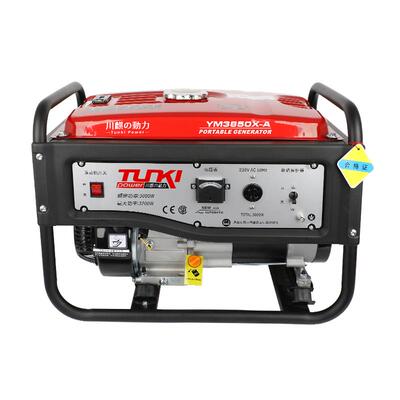 川麒の動力|双电压|全铜电机