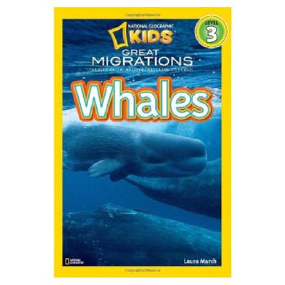 国家地理 少儿儿童版NGR Great Migrations Whales (Level 3)大迁徙：鲸鱼