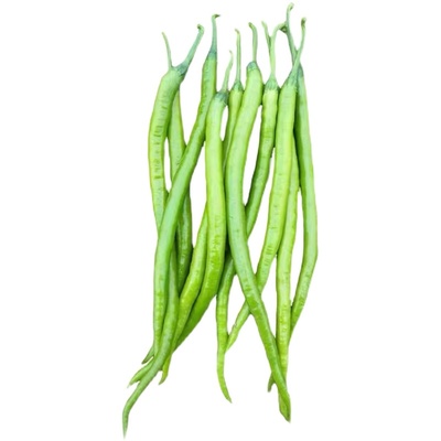 蔬菜超辣二荆条四季南方线椒种子