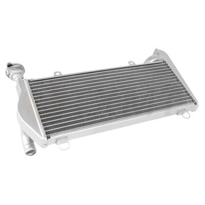 Panigale89995911991299水箱