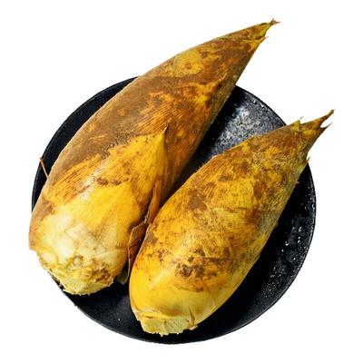 新鲜现摘正宗湖南冬笋5斤鲜笋