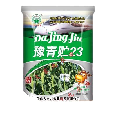 青储种子高产大京九23青贮玉米
