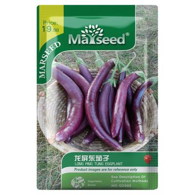 农家紫色茄子植物又甜又嫩