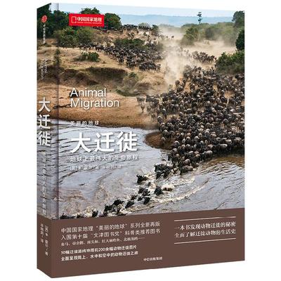 美丽的地球大迁徙中国国家地理