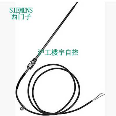 议价SIEMENS西门子QAE26.93高精度水管水箱浸入式温度传感器24mm