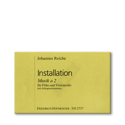 雷施驻地长笛大提琴和打击乐器