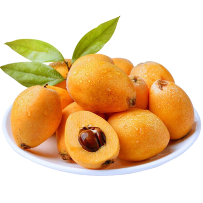 假一罚十！正宗白玉枇杷礼盒装