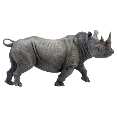 白犀牛尼卡动物园成长陪伴PNSO