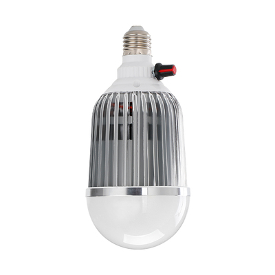 led灯12V220v家用水果摊节能提鲜