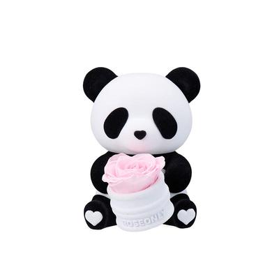 ROSEONLY诺誓爱妮熊猫永生花玫瑰花情人节送女友爱人生日节日礼物