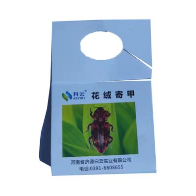 花绒寄甲天牛克星松褐光肩星蛀干