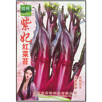 红菜苔薹头紫蔬菜种子籽苔粗苔多