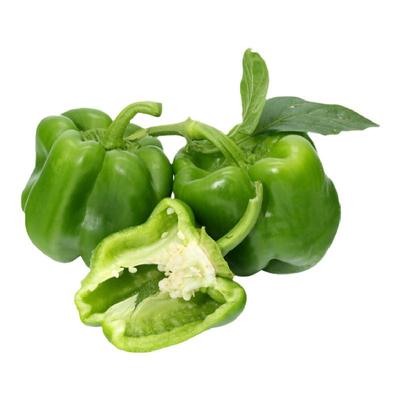 密云农家当日采摘柿子椒