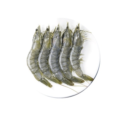 龙霸特大号盐冻白虾冷冻鲜活基