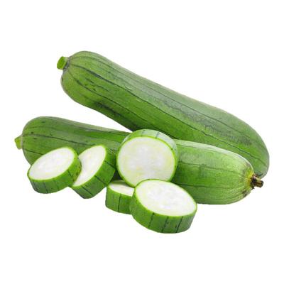 农家庭院阳台早熟高产丝瓜种子