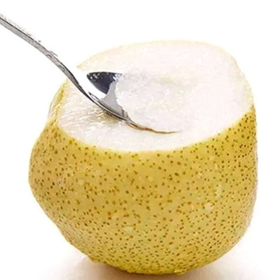 百年老树砀山酥梨特级果王