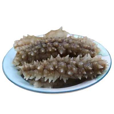 野生刺王参印尼刺皇参散装刺参