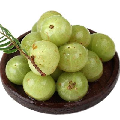 现摘新鲜油甘果油柑滇橄榄多品种