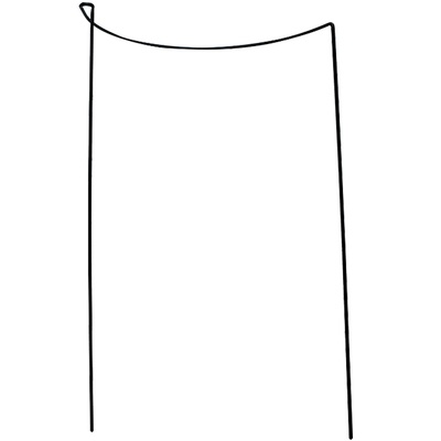 蟹爪兰朵维绿化花架护叶防倒伏