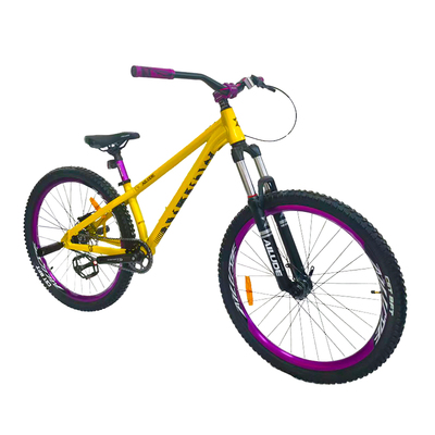 艾路德TP50土坡带炮筒山地自行车