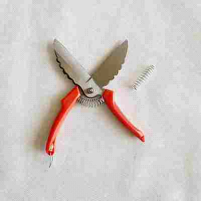 农用工具大蒜剪刀65锰钢白头剪洋葱蒜胡头苗根茎大头蒜剪子