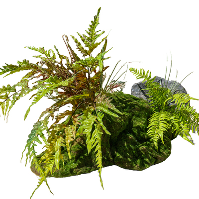 美空花舍苔藓包地貌成品绿植定制