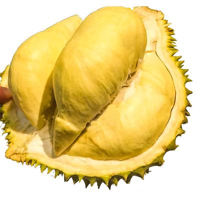 顺丰冷链AAA级泰国金枕榴莲