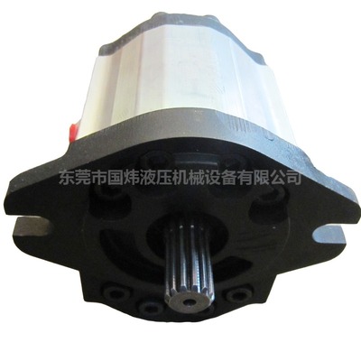 佳明注塑机伺服油泵G55V050 63 75意大利SETTIMA螺杆泵液压泵工厂