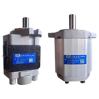 液压发动机齿轮油泵叉车