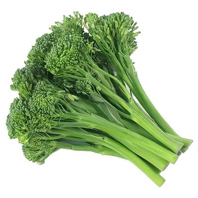 寿光甜杆西兰苔苗秧苗早熟耐寒