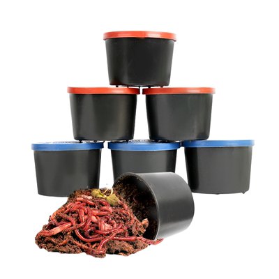 牛粪蚯蚓活饵红虫野钓盒装鲜活垂钓鱼饵红蚯蚓盒装散装打窝料鱼食