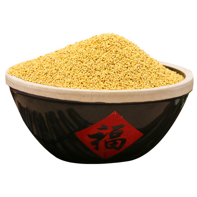 贵州糯小米新米包粽子米软糯