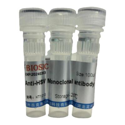 Anti-HSV tag Monoclonal antibody  实验单克隆抗体百克赛斯生物