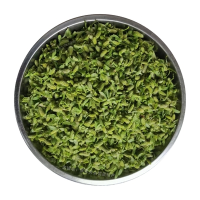 2026年柳芽蔬菜焯水冷冻柳树芽凉拌柳芽菜现货柳尖柳絮柳构菜包邮