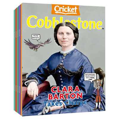 单期历史文化故事COBBLESTONE