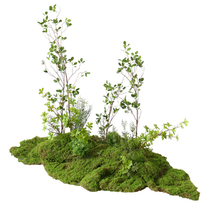 花尔植物造景角落花槽青苔小景