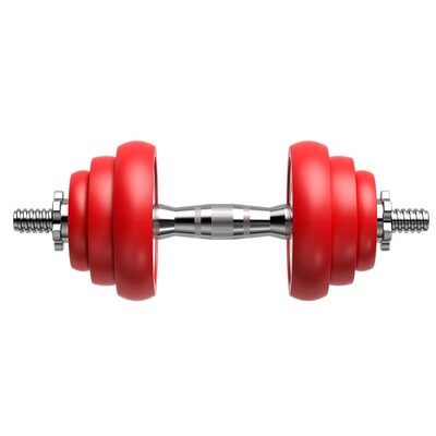 纯钢铁哑铃一套使用一辈子