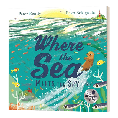 英文原版 Where the Sea Meets the Sky 海天相接的地方 英文版 Riko Sekiguchi 进口英语原版书籍