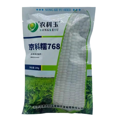 京科糯768玉米种子白甜糯